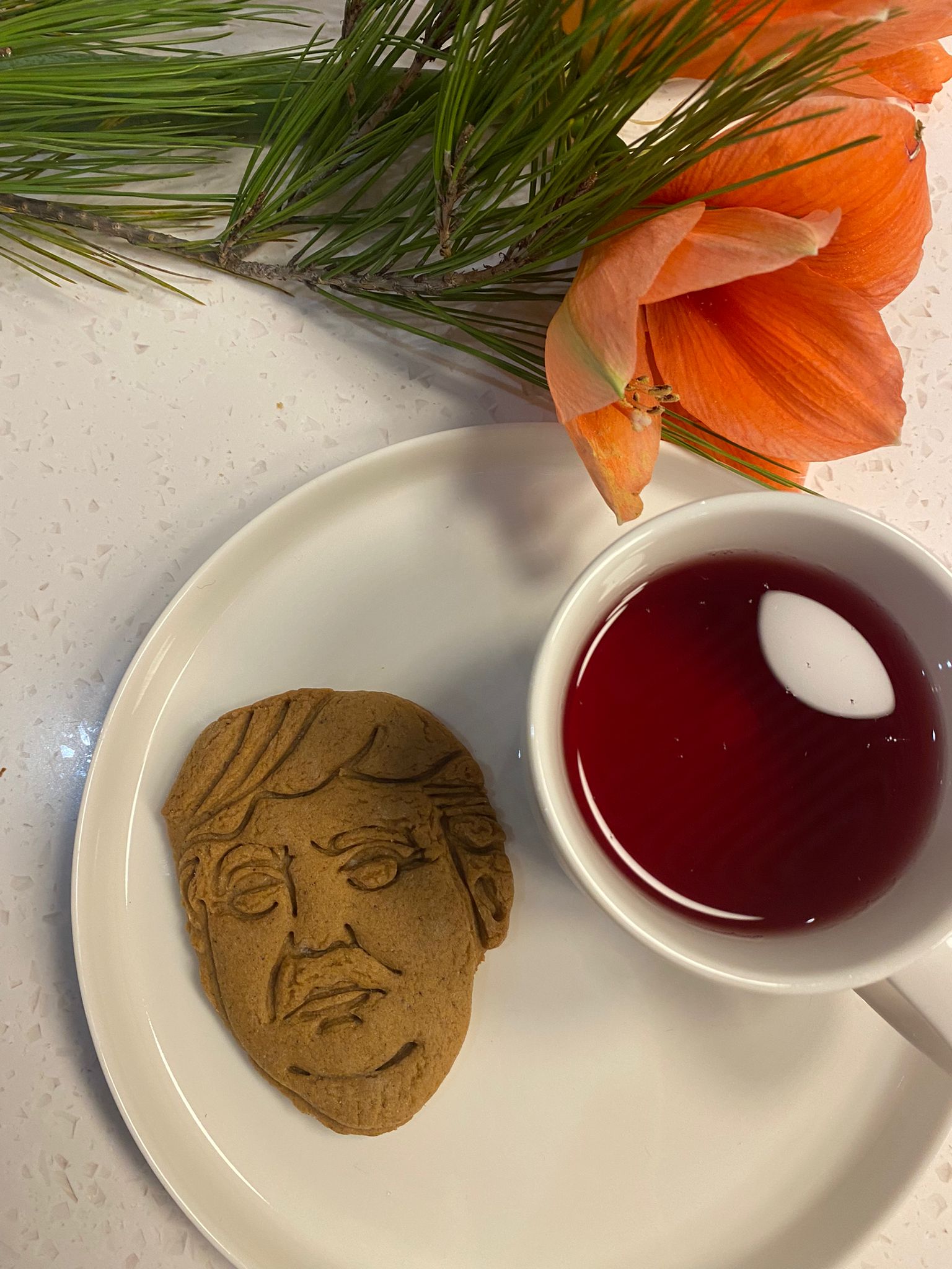 Trump gingerbread mold – HEATFORGE3D